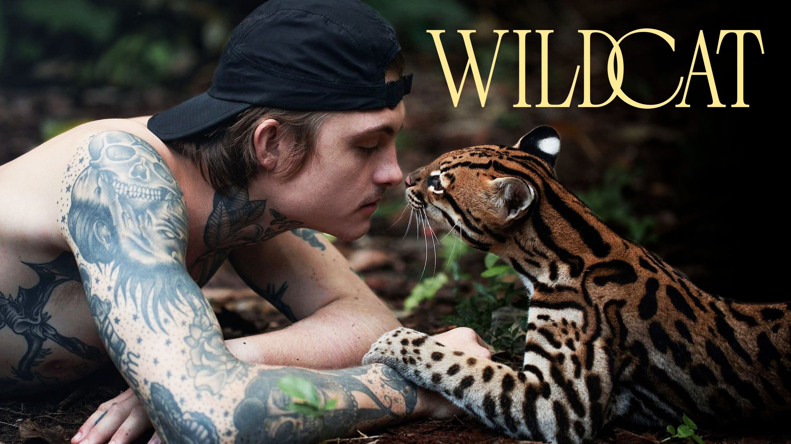 Wildcat - Prologue - OnScore